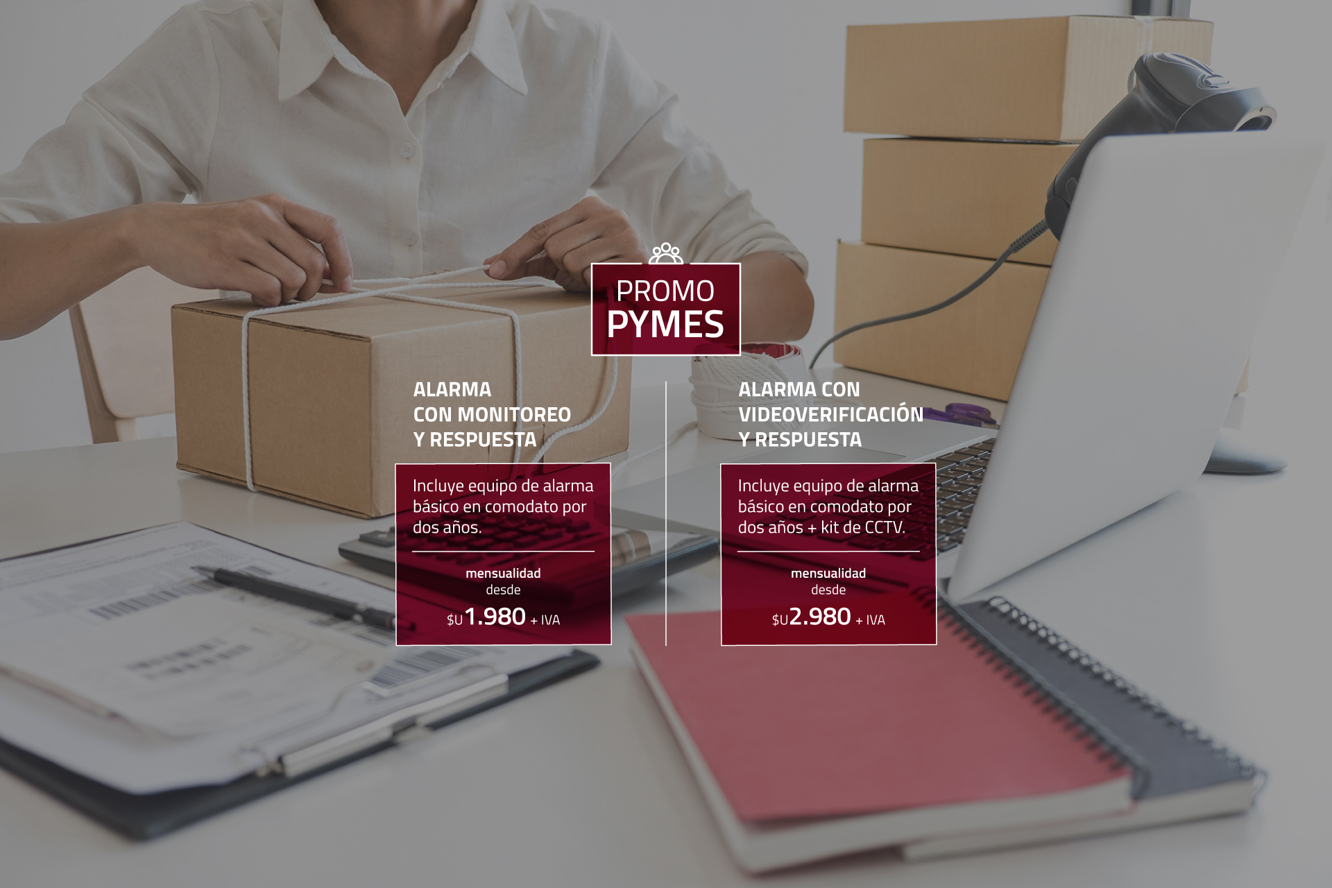 Inicio - Sildan Seguridad